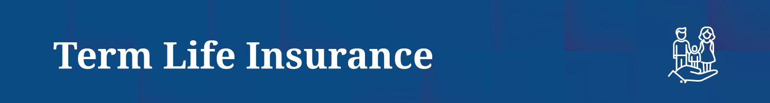 Voluntary Term Life Insurance | Upper Trinity - 2024 Plan Year